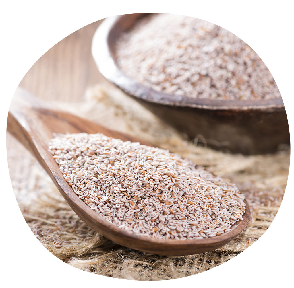 Psyllium - Esprit-BIO