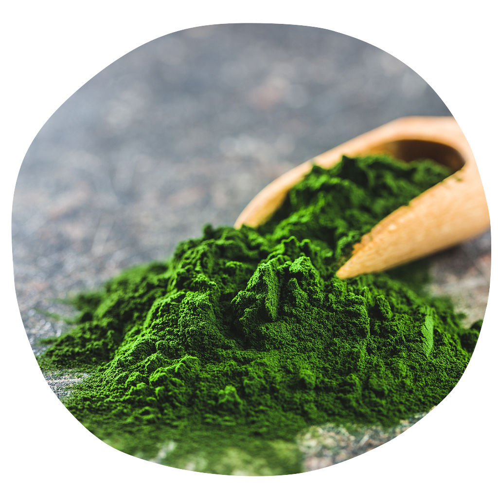 Chlorelle - Esprit-BIO